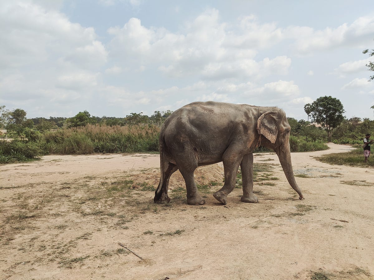 Thailand in vier etappes. Drie jaar geleden stonden we op het… | by ...