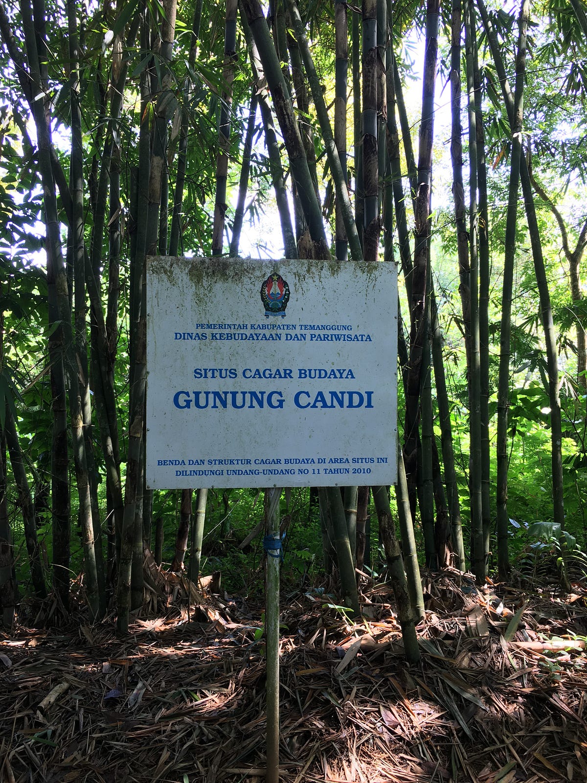 #5 — Situs Gumuk Candi. Minggu, 20 Maret 2022. | by #SekarDolanCandi ...