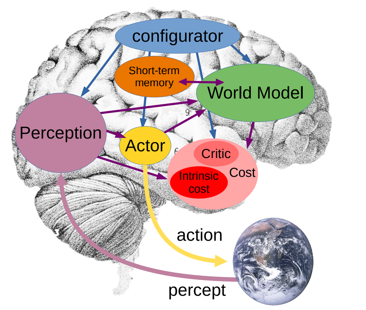 JEPA: LeCun’s Path Towards More Human-Like AI | by Anil Jain | AI / ML ...