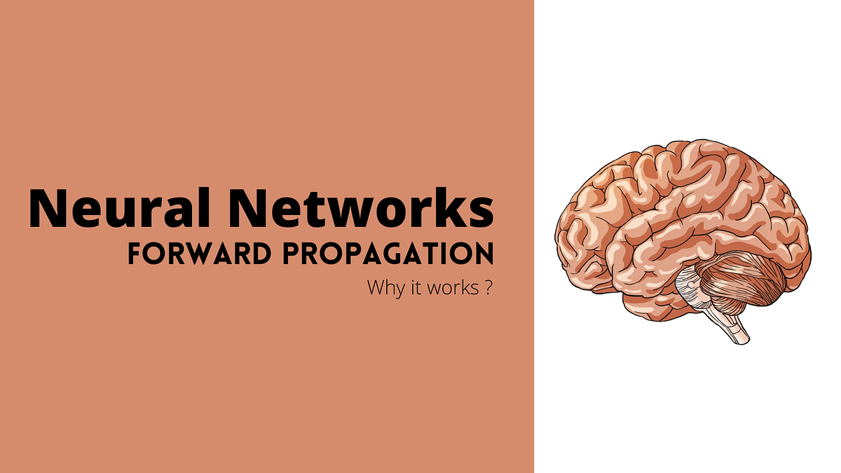 Feed Forward Neural Networks | Intuition on Forward Propagation | by ...