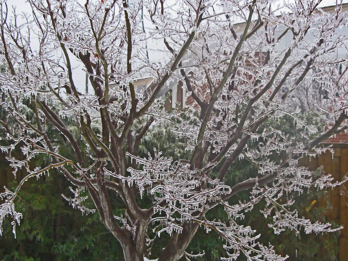 Ice Storm - Simply Photos - Medium