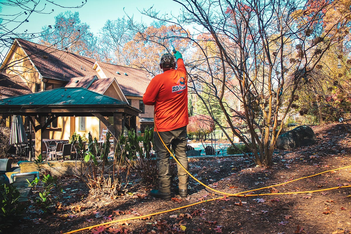 Best Tree And Shrub Care Program In Winchester | by Bull Run Turf | Aug, 2024 | Medium