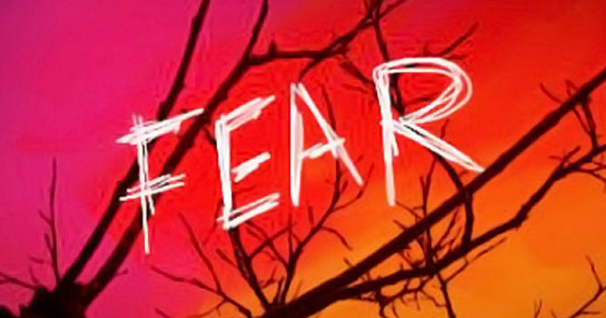 Dealing with your FEAR — Day 2 of 20 | by Tom "Norm" Daly | Jun, 2023 | Medium