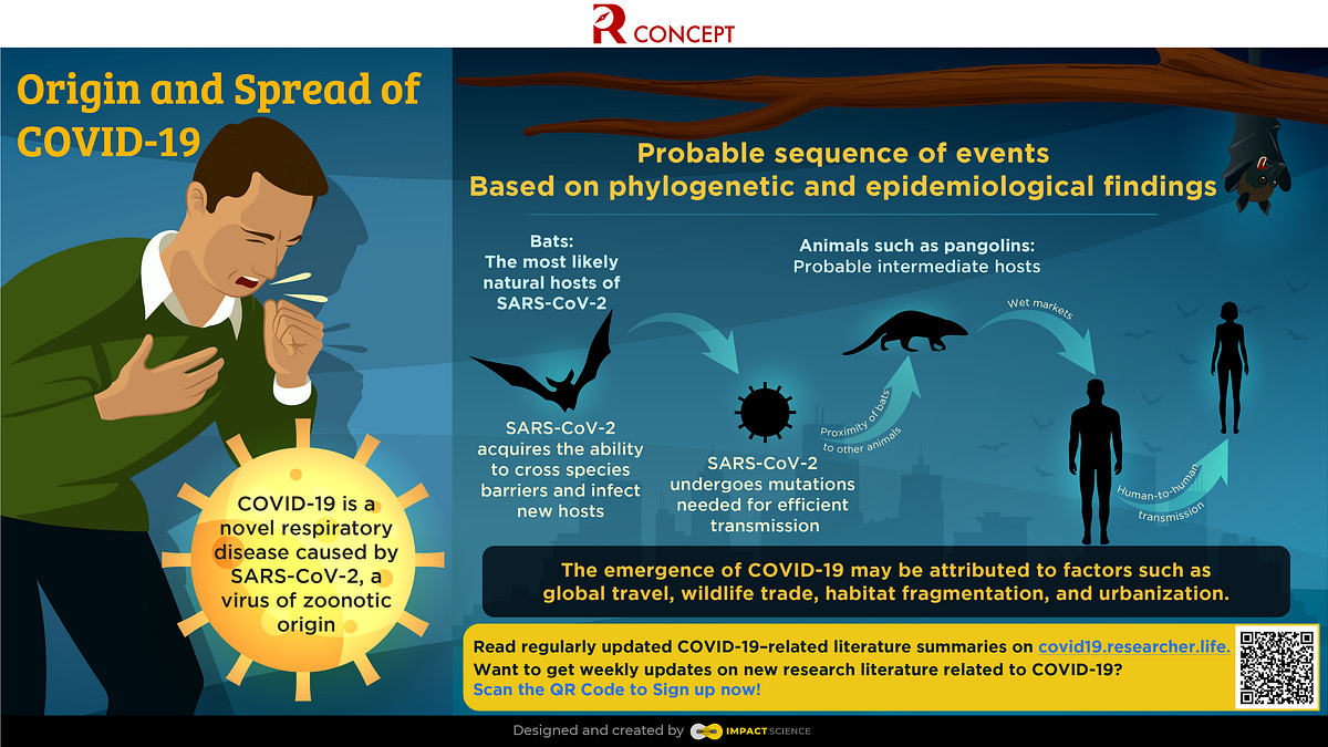 INFOGRAPHIC: Origin and spread of COVID-19 | by researcher.life ...