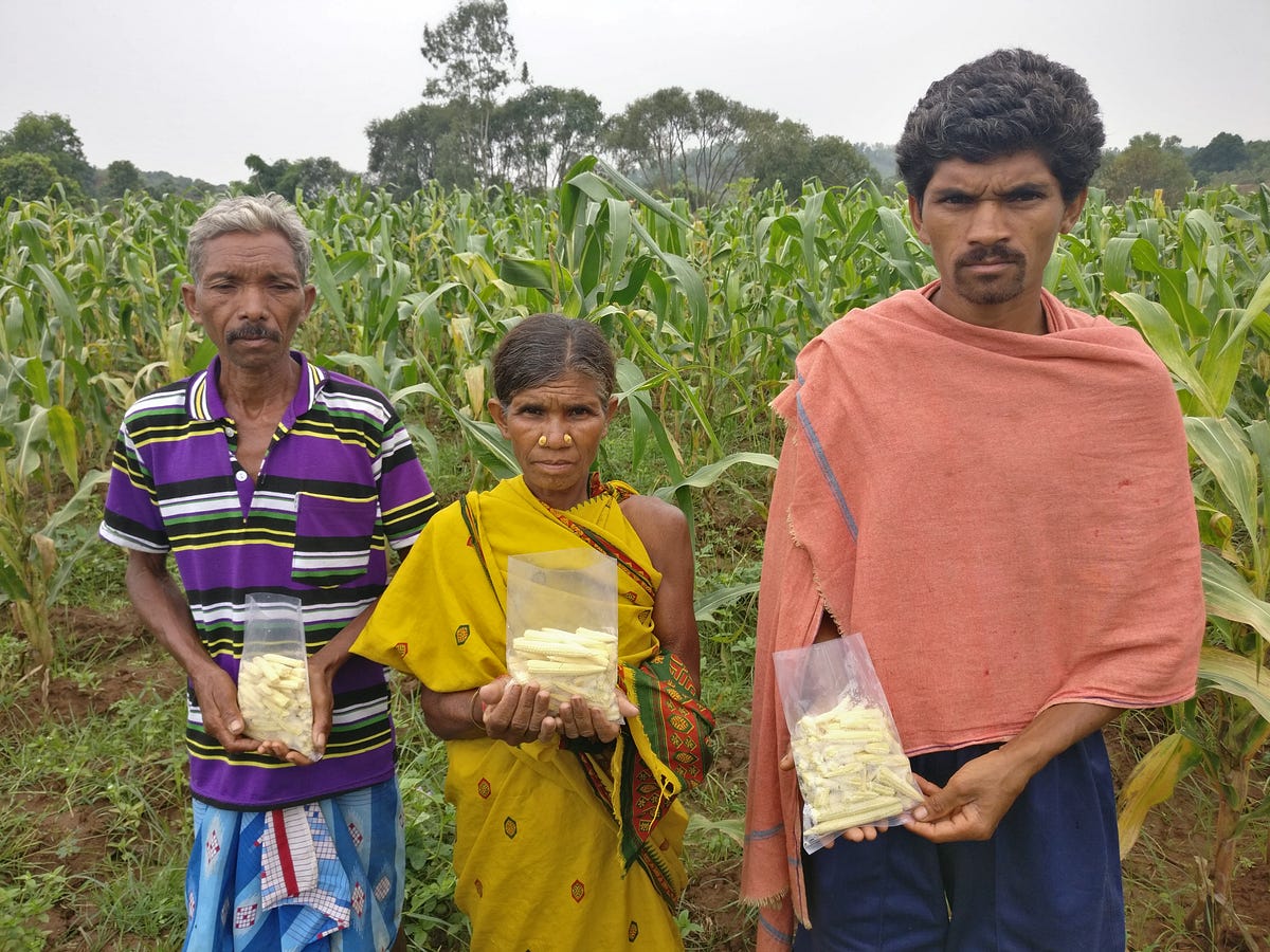 Mandaguda , a tiny village in Mahadeiput panchayat of Koraput block ...