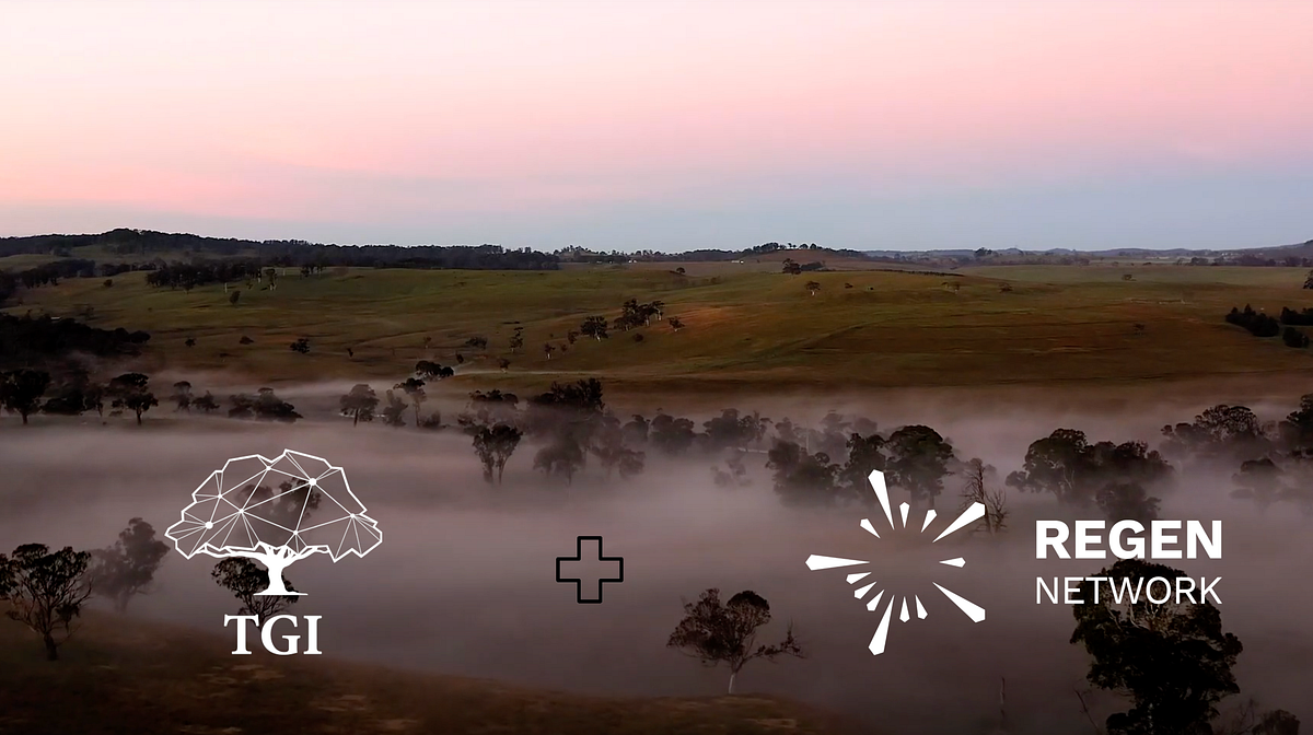 How TGI is supporting Regen Network’s Platform for a Thriving Planet ...
