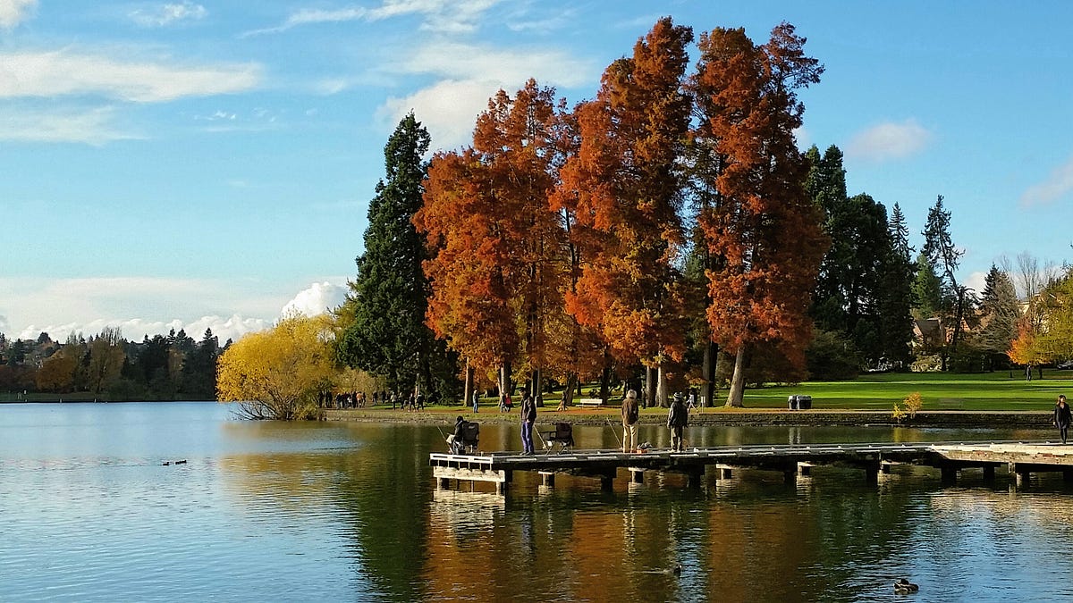 Fall trout fishing options abound in lakes across the state | by The ...