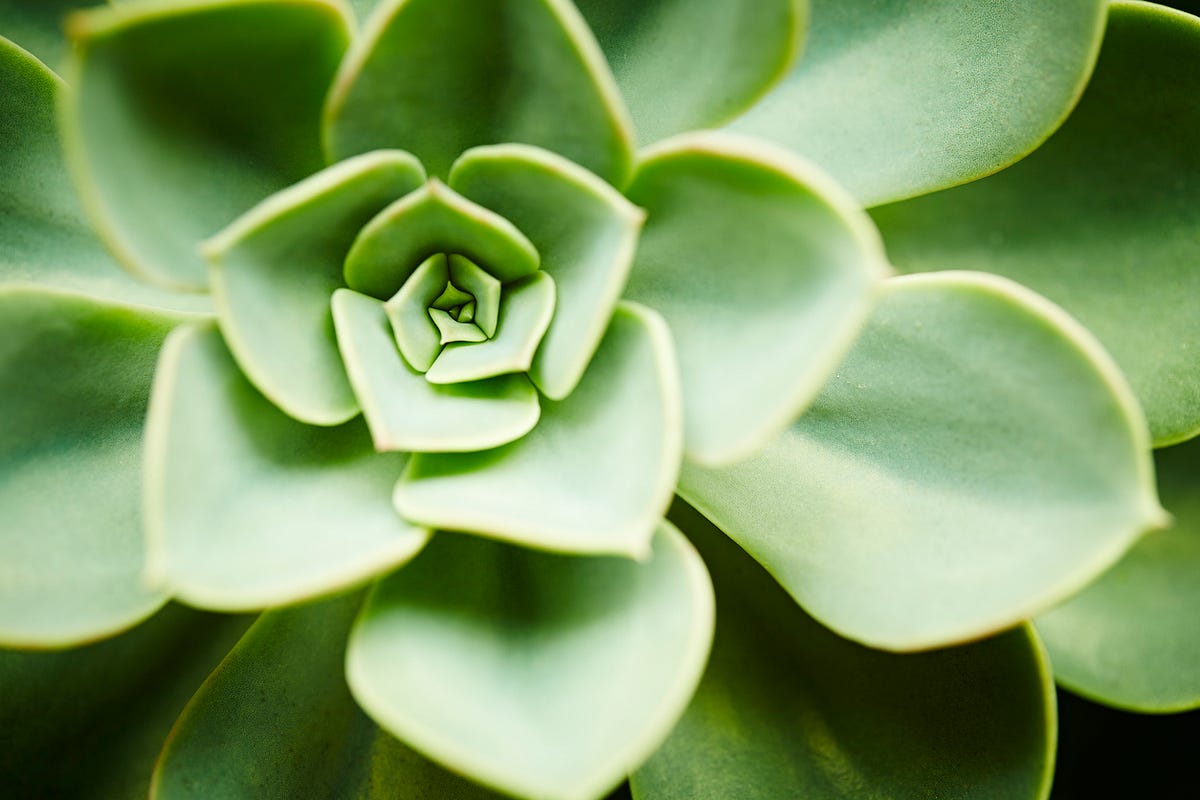 Data Model Design Considerations When Building Salesforce Applications — Part 2 | by Mohith ...