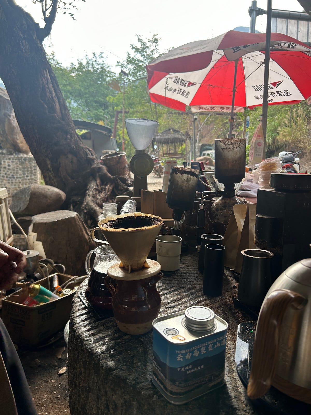 From “Cherry” to Cup: A Yunnan Coffee Journey | by Migo | Zenite | Medium