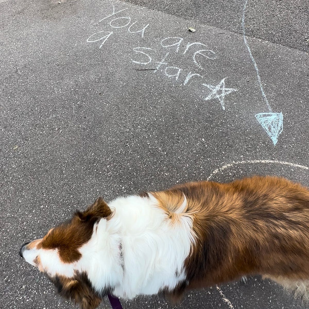 Walking With Hazel | by Alan Dix | Short. Sweet. Valuable.