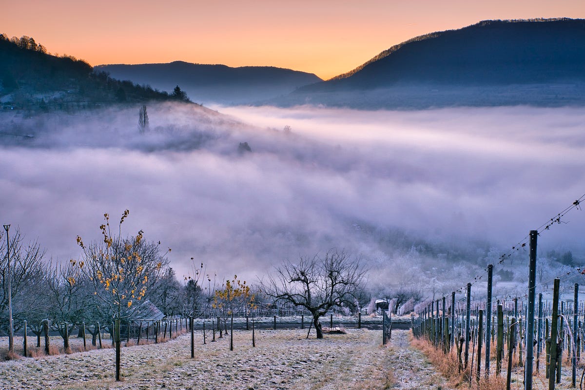 The Tenants — Hidden Meanings in The Parables of Jesus (PaRDeS) | by NJ ...