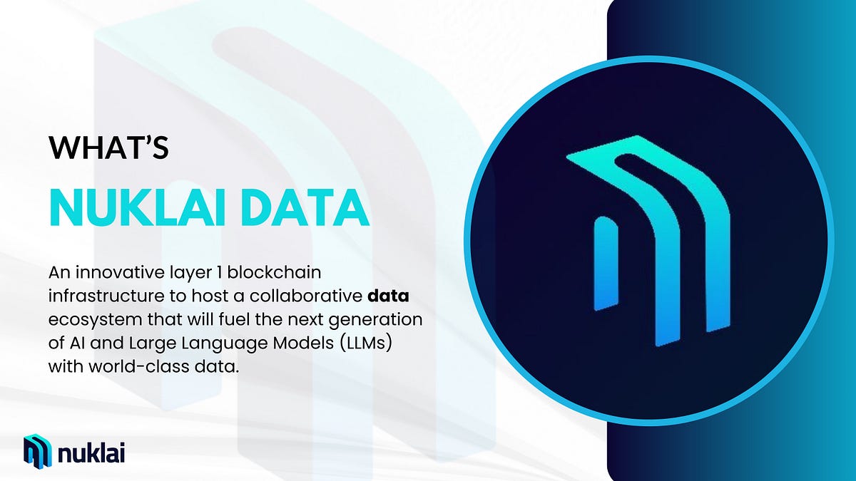 Powering the Next Wave of AI with World-Class Data: NUKLAI | by ...