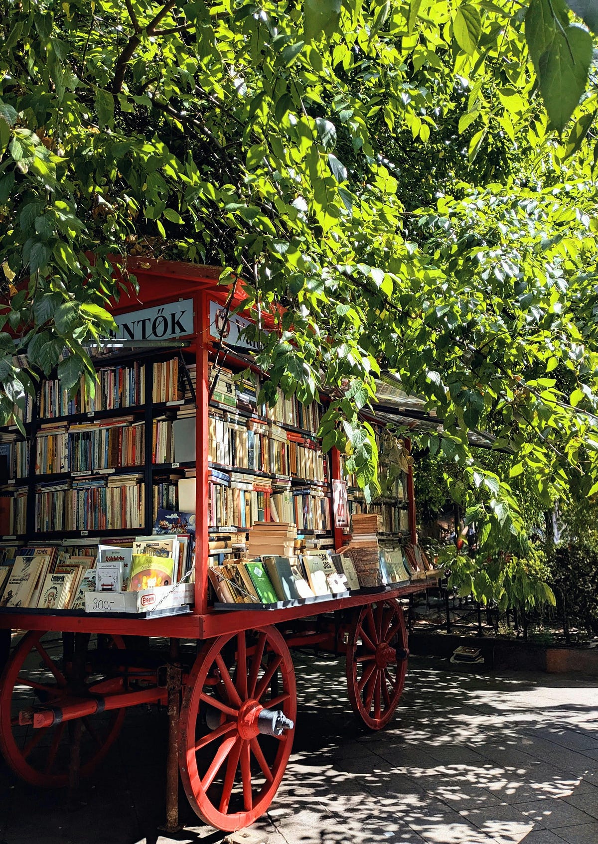Ritual, Carried: A Letter to the Books That Made Me | A Taste for Life