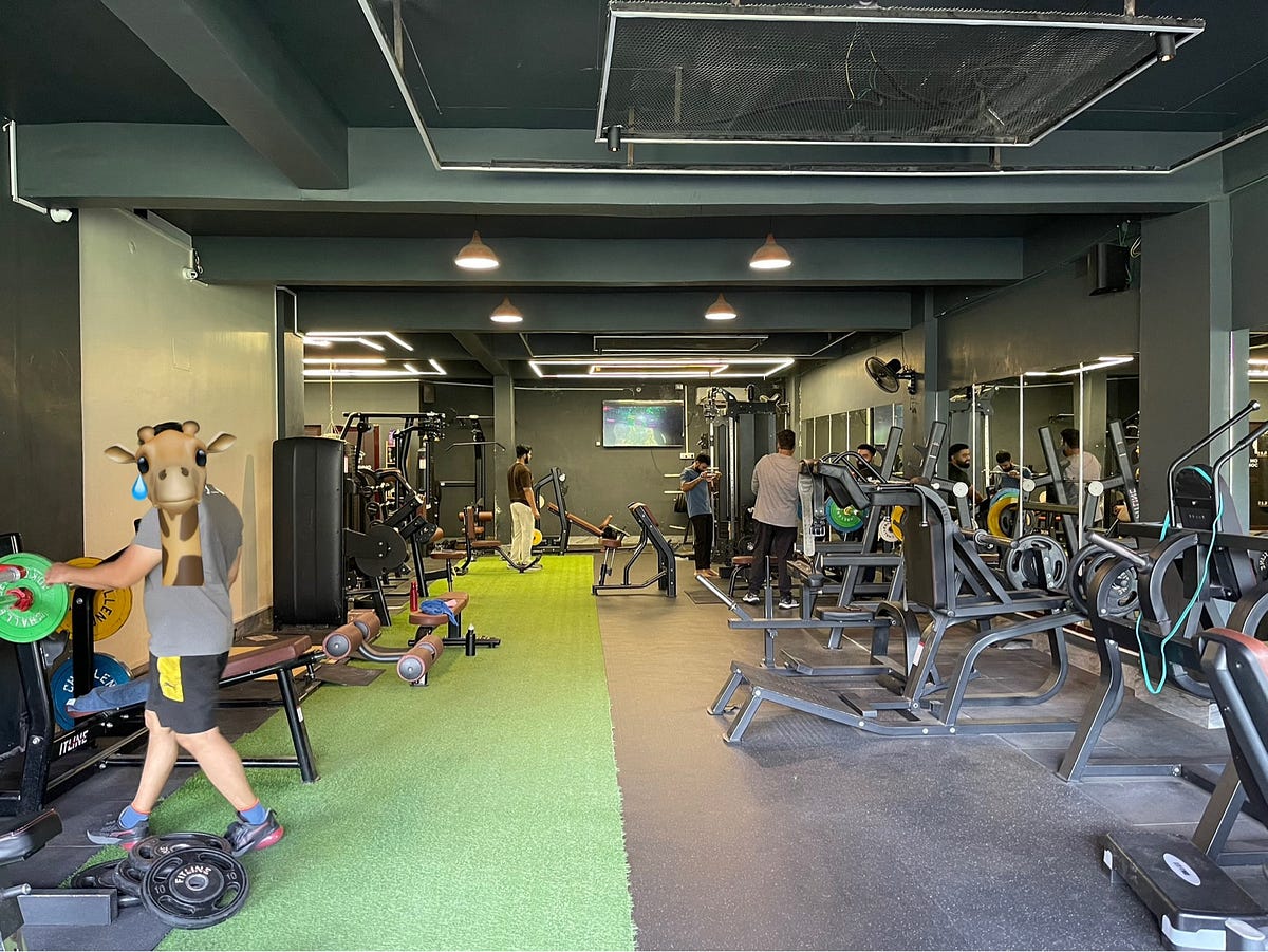 I Made My Trainer Do a 29-Exercise Birthday Workout. | by Tooth Truth Roopa Vikesh | Brammarly ...