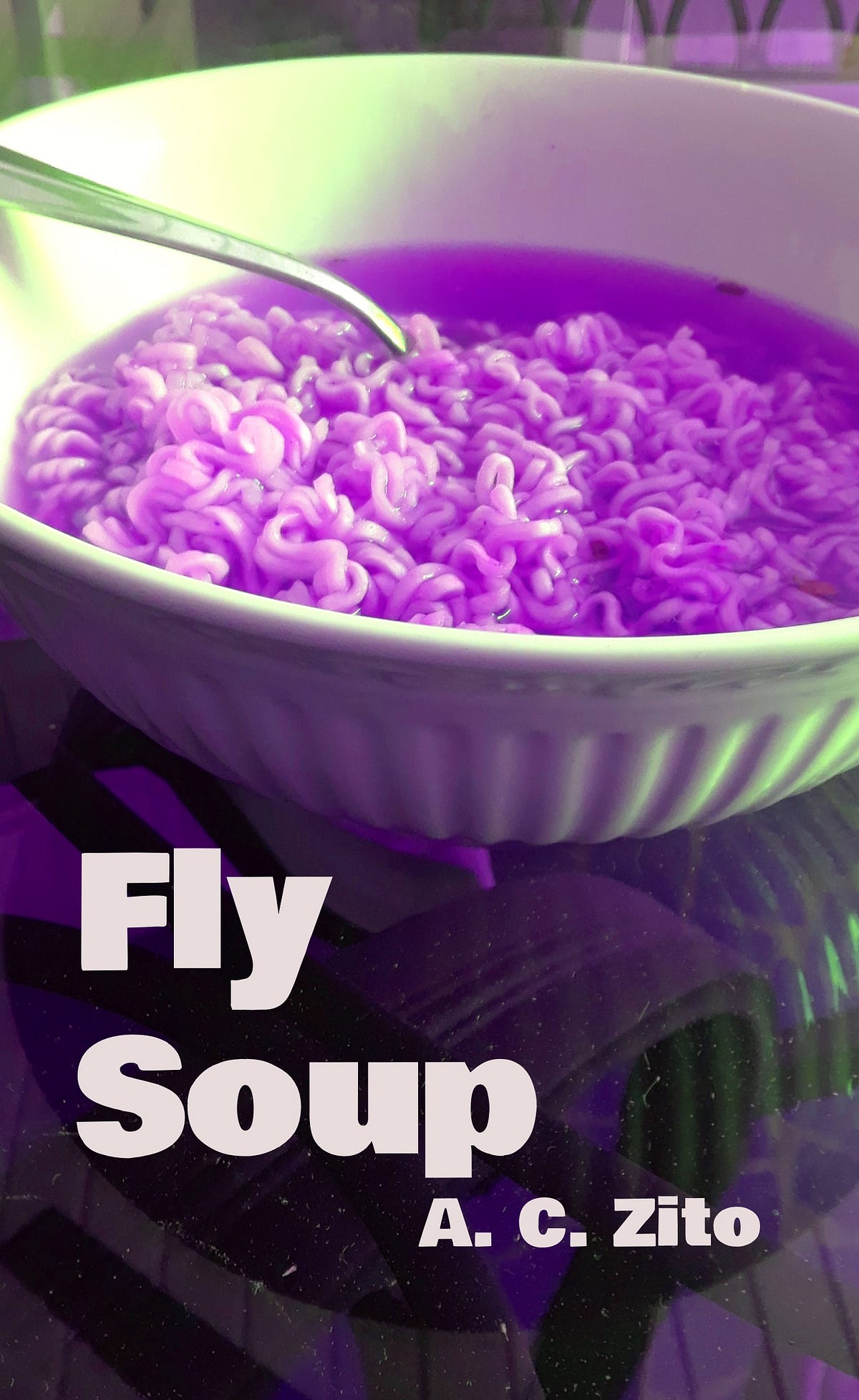 Fly Soup | by A. C. Zito | Medium