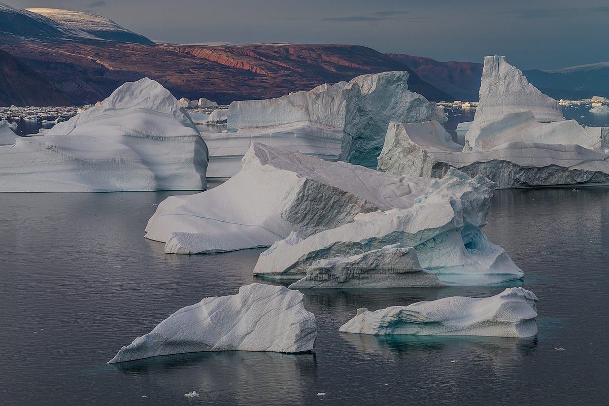 Unveiling the Giants of the Ancient Seas: Timorebestia, the Terror ...