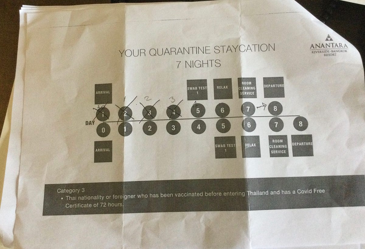 Quarantine Success Stories | by Jourdan Arenson | Medium