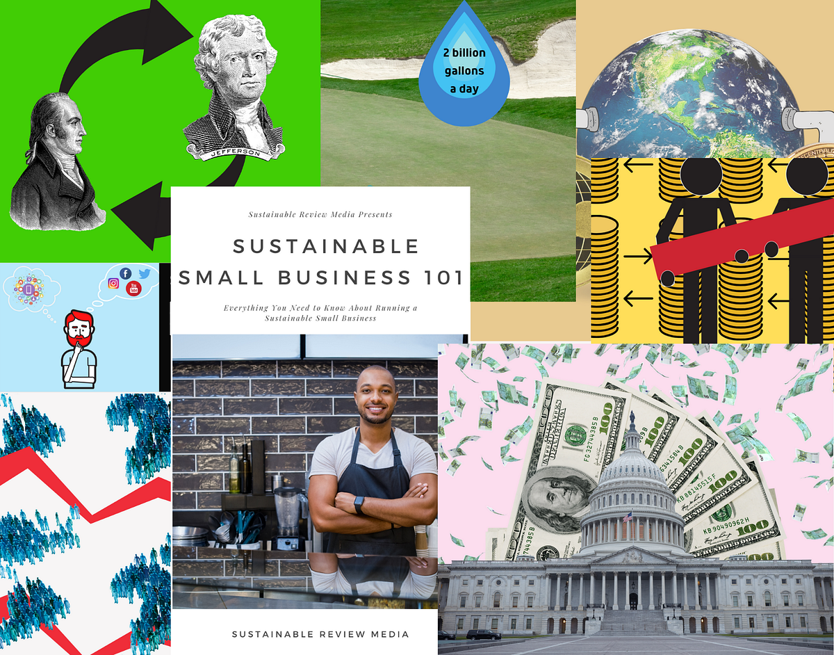 Sustainability in 2020: A Year of Lost Opportunity, New Hope | by Jared ...