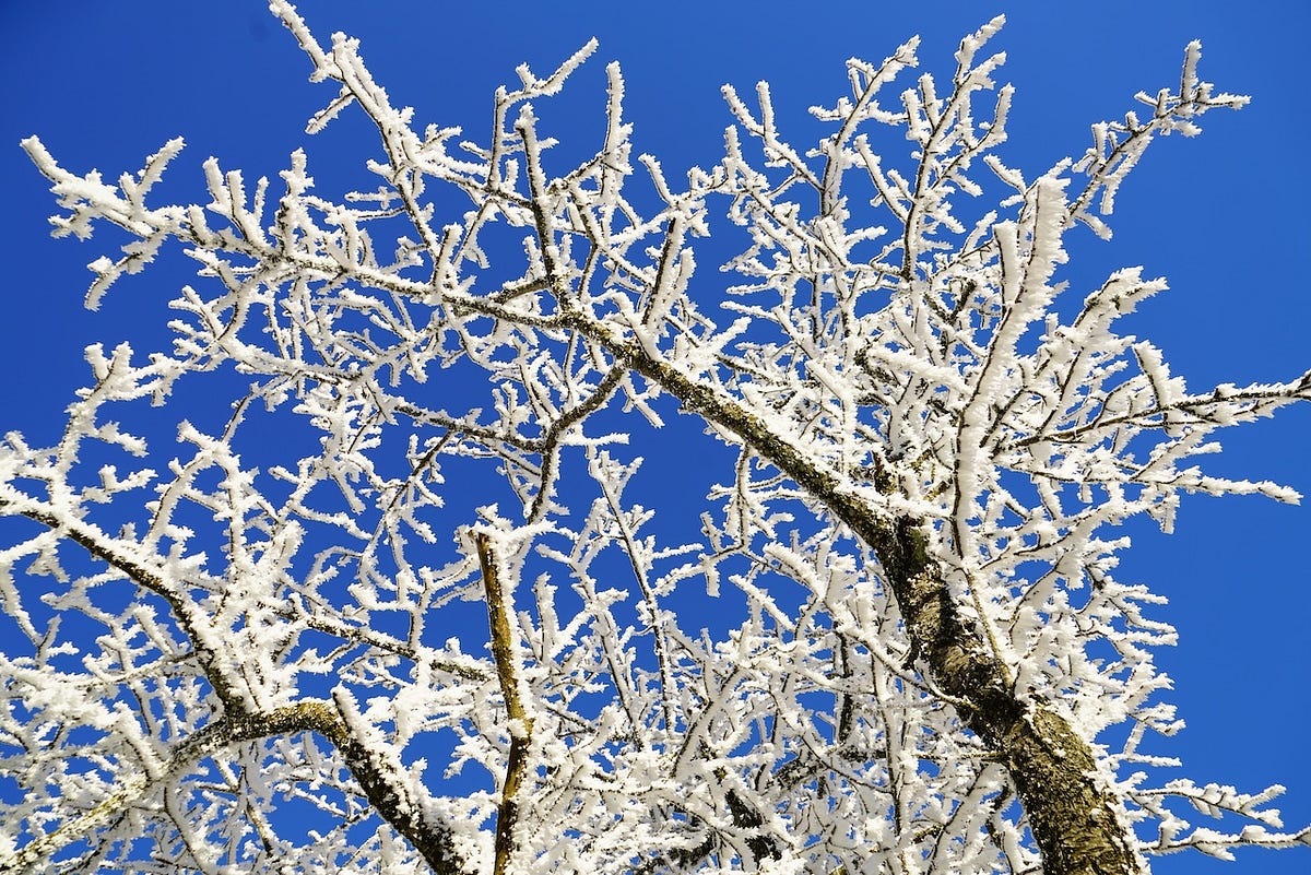 Snowflake Logging & Tracing Deep Dive: Exploring Trace Trees | by Tom ... Snowflake Logging & Tracing Deep Dive: Exploring Trace Trees | by Tom ...