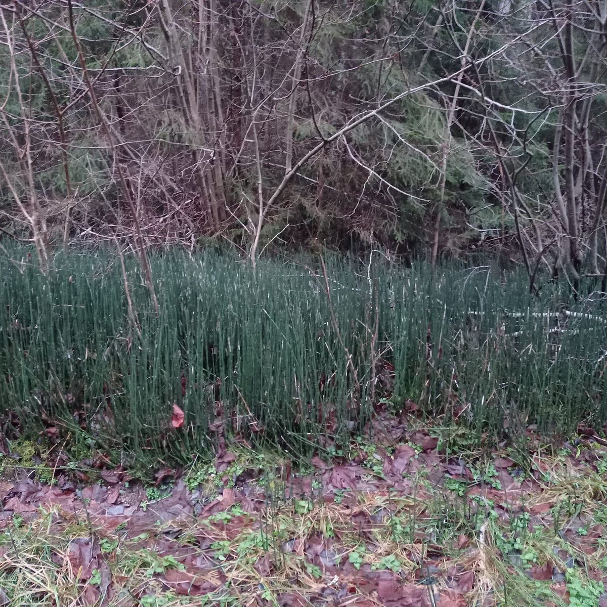 Tips and tricks for authentication in Oracle Rest Data Services | by ...