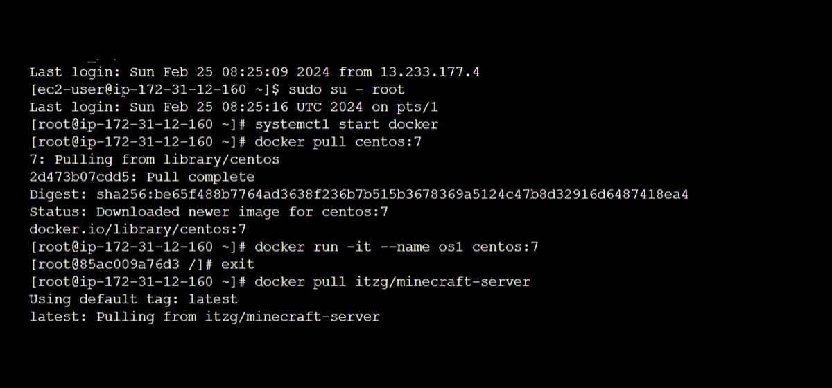 Create Minecraft Server using Docker | by Saurabh Chandra Shukla | Mar, 2024 | Medium