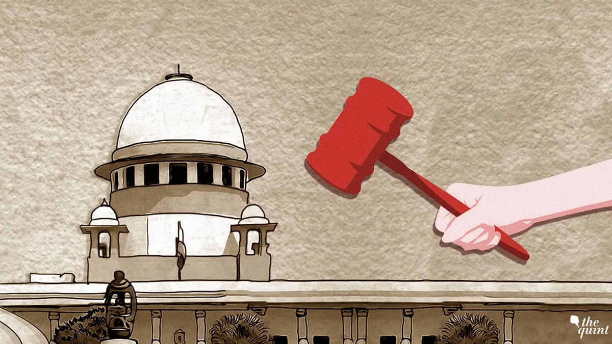 Judicial Review and Activism: Unravelling the Nexus of Power and ...