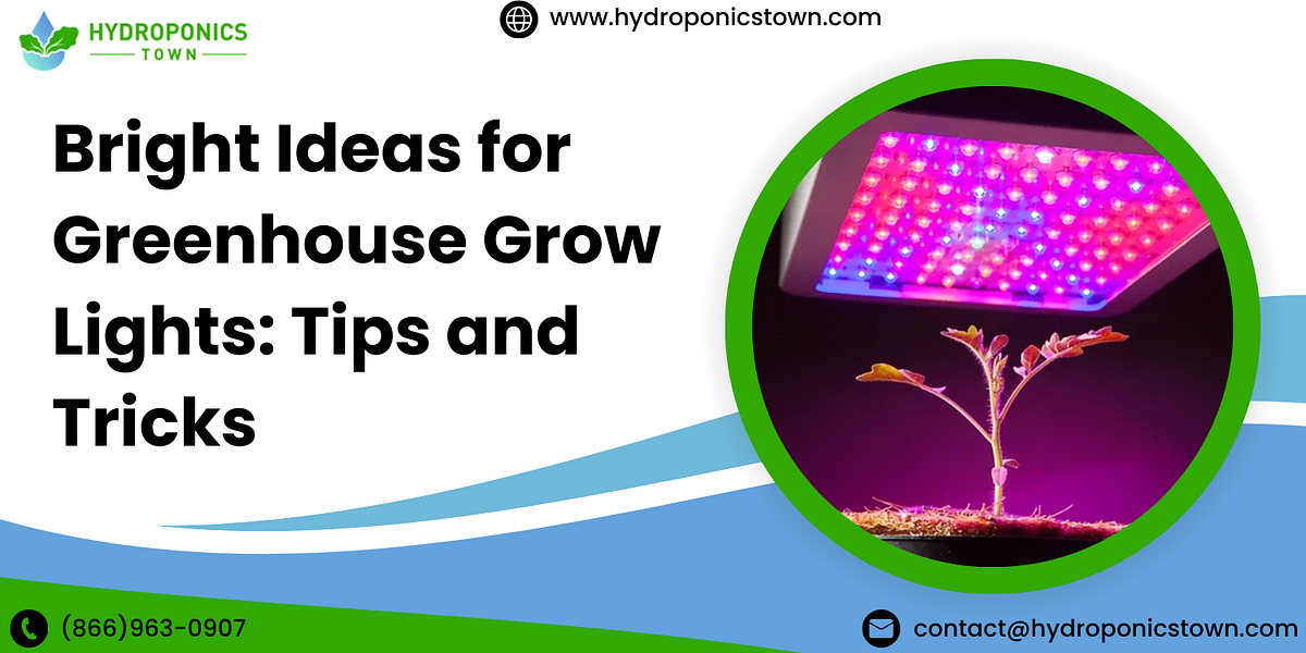 Bright Ideas for Greenhouse Grow Lights: Tips and Tricks | by ...