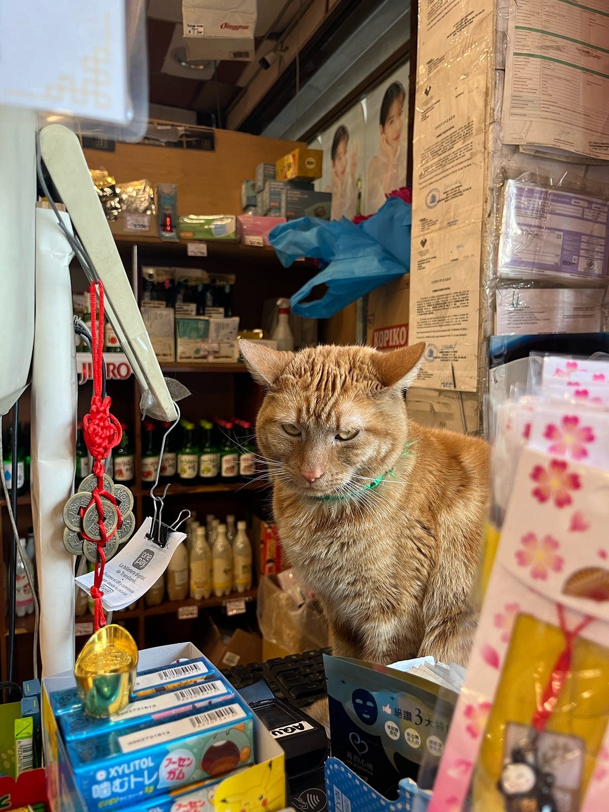 🤧😷 - Constanza Valencia - Medium