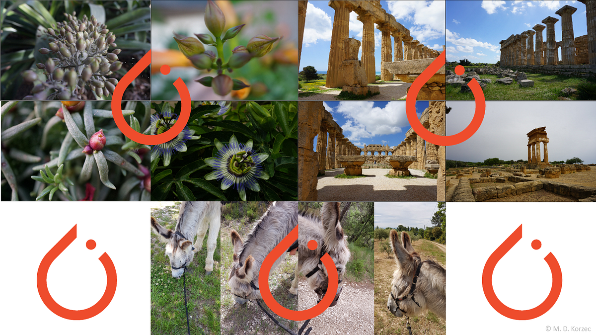 Recommending Similar Images Using PyTorch | by Maciej D. Korzec | TDS ...