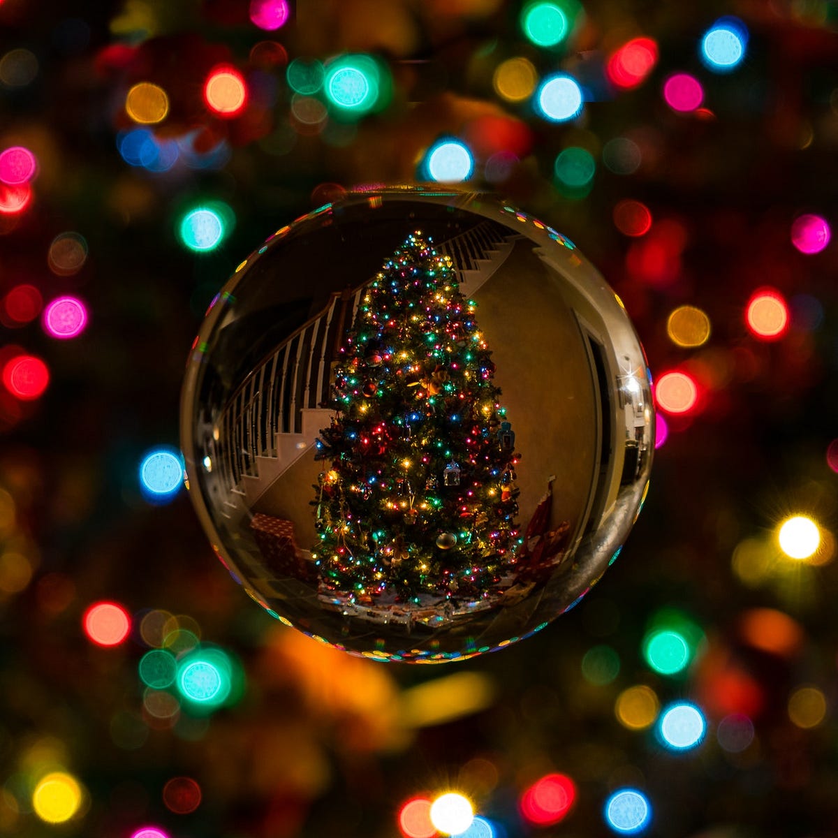 No Christmas Tree for us this year | by Maria Cheatham | Medium