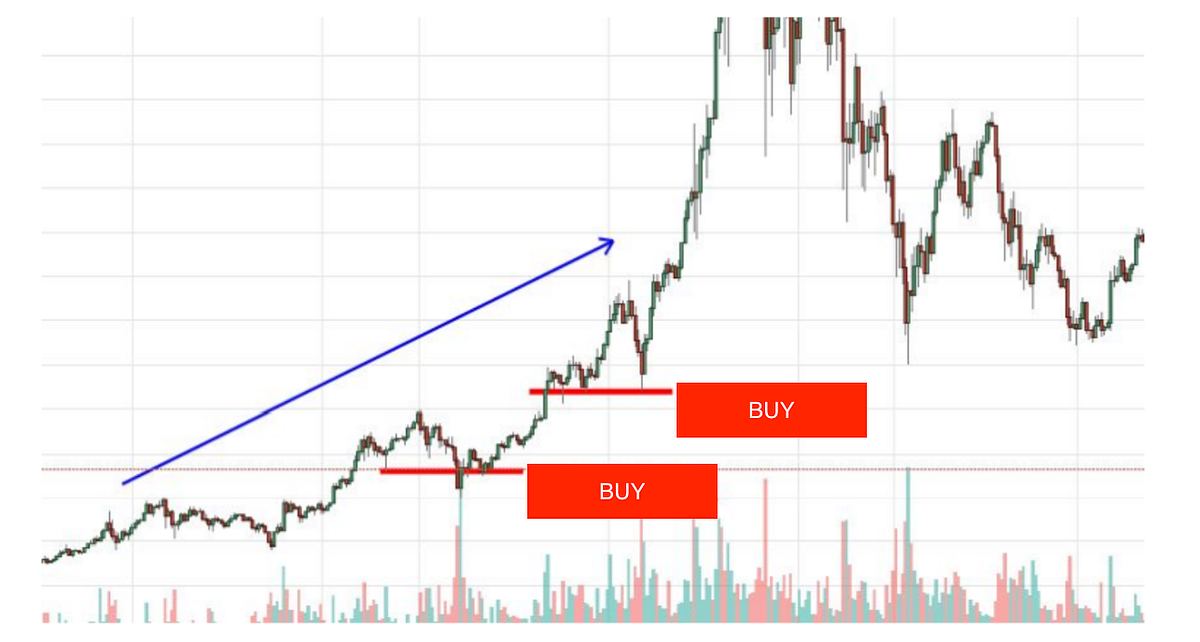 Trading Basics. What’s important to know about trading | by Tiger.Trade ...