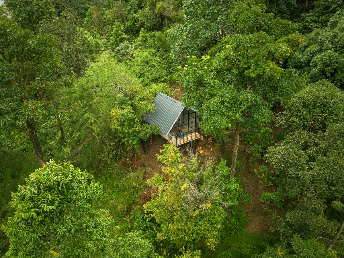 Embark on a memorable tent stay adventure in Wayanad with Utopia ...
