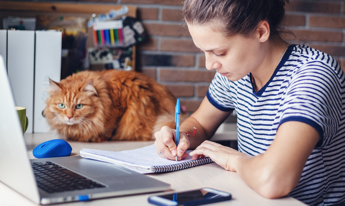 A quick guide (for beginners) to Working From Home | by MagmaLabs ...
