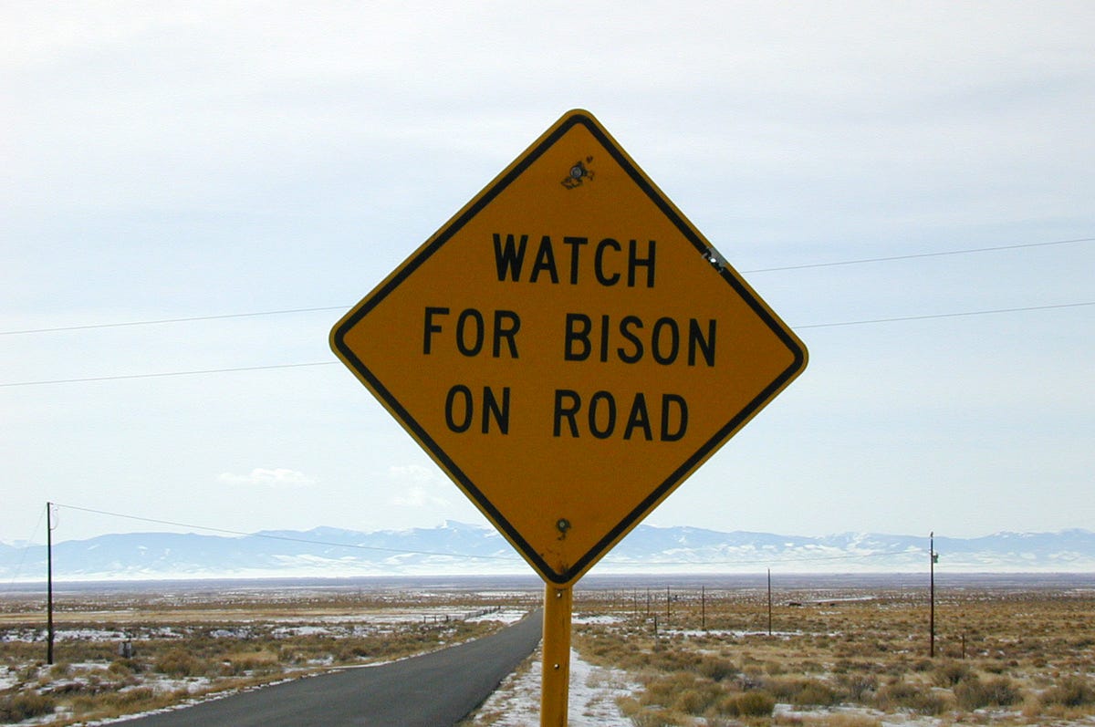 SUBSCRIBE TO GODDAMN BUFFALO!. Dear Friends & Followers: | by John ...