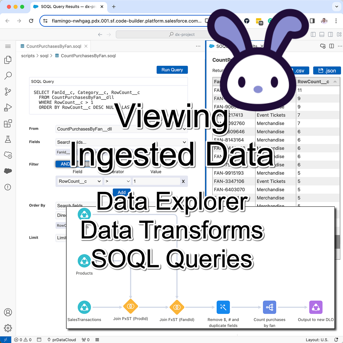 Chapter 8 — Data Cloud Case Study: Viewing Ingested Data Using Data Explorer, Data Transforms ...