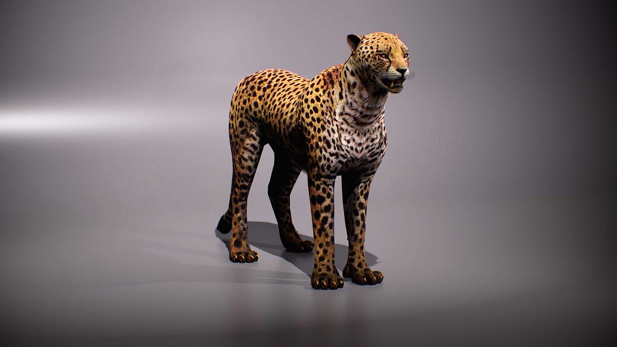 Cheetah Race NFT Play To Earn Project - CHEETAH RACE - Medium