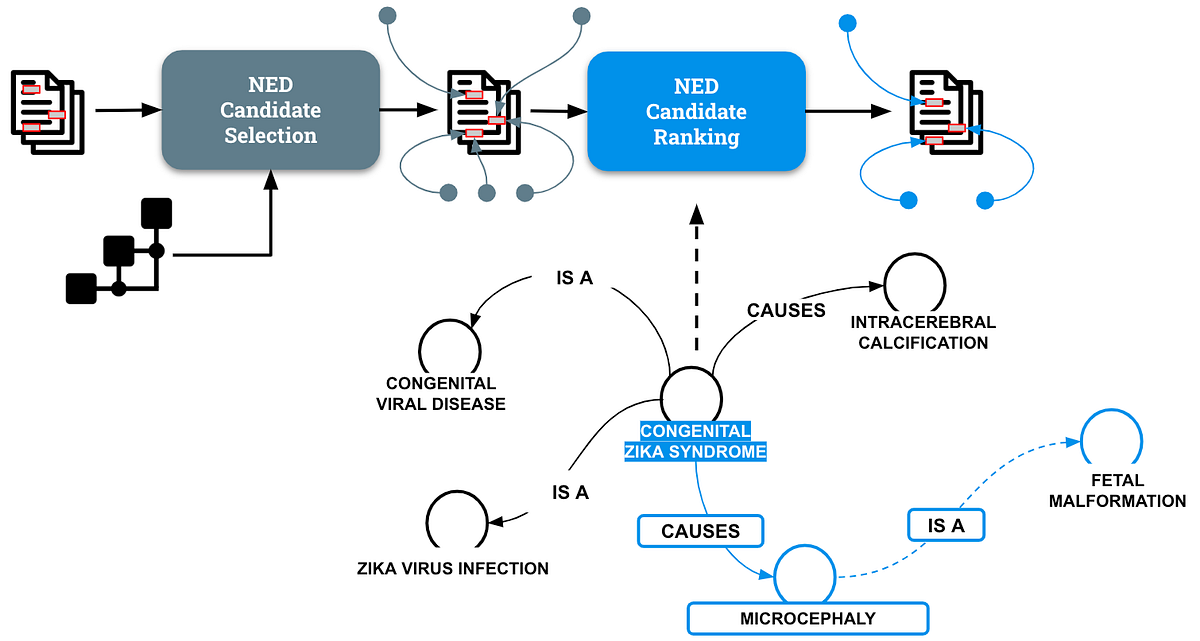 Towards Named Entity Disambiguation with Graph Embeddings | by Giuseppe Futia | TDS Archive | Medium