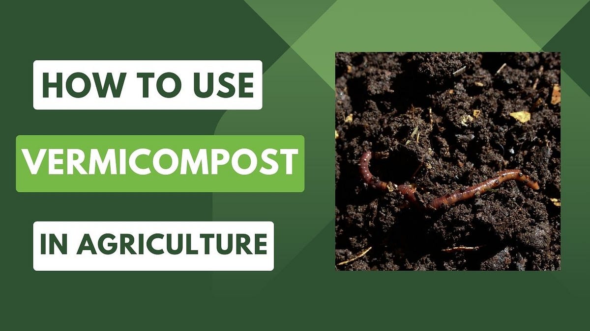 How to Use Vermicompost in Agriculture | by Sampurna Arogyam | Oct ...