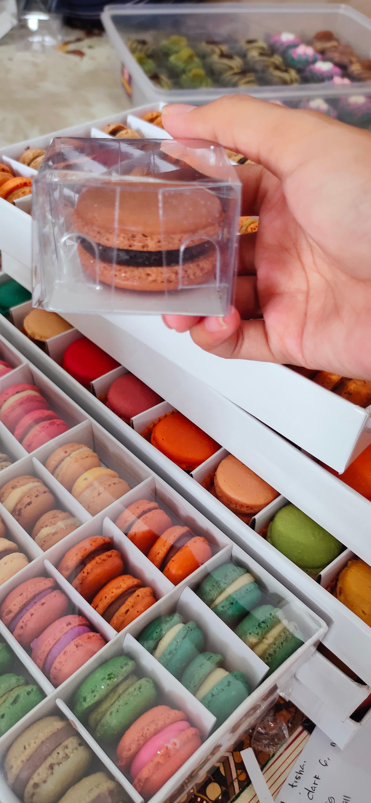 MACARON BABY DI BANDUNG!!!Jual Macaron Wa 0819-1209-0006 Macaron Box Di ...