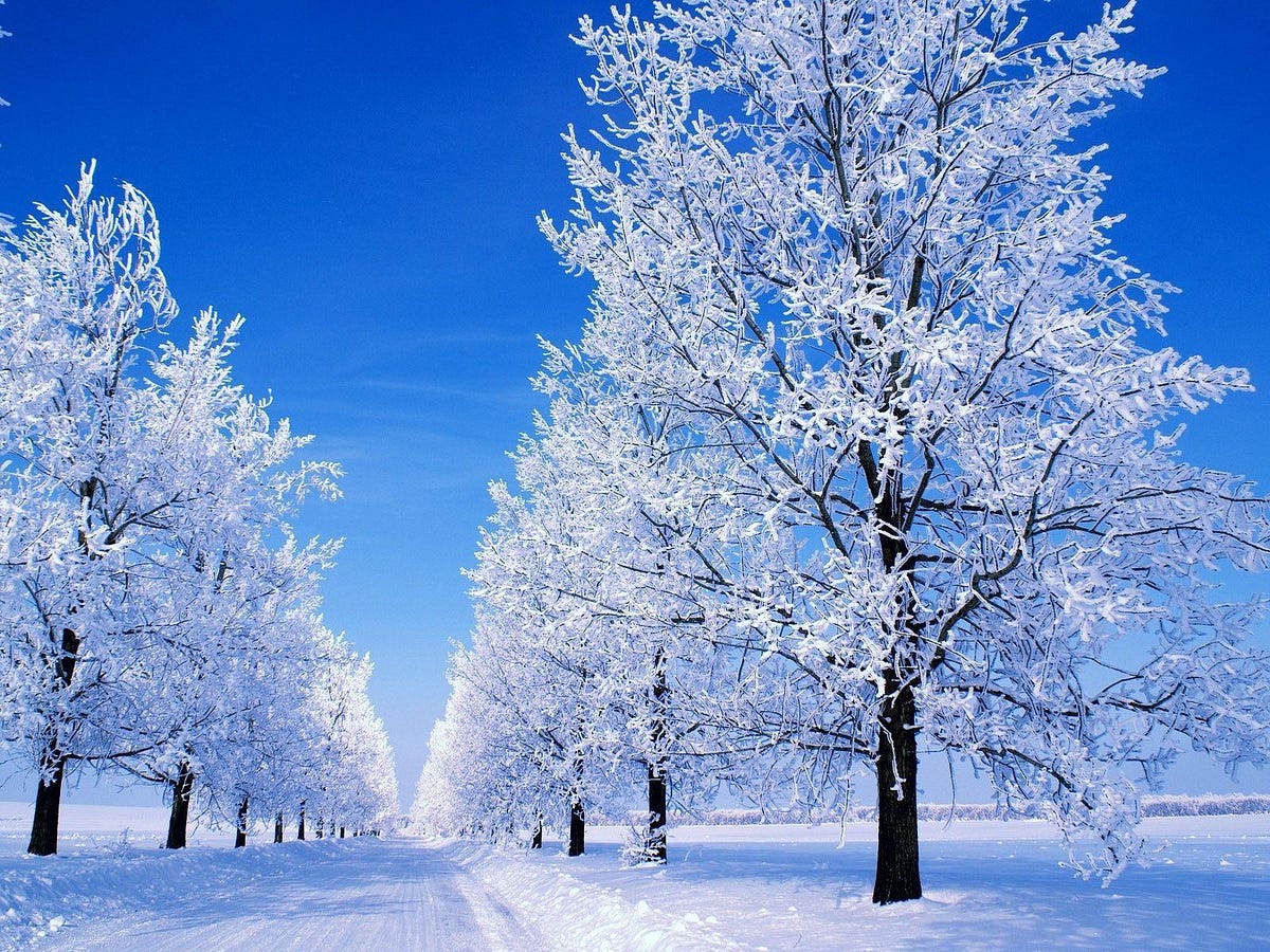Working with large JSON files in Snowflake — Part IV! (Now in Python ...