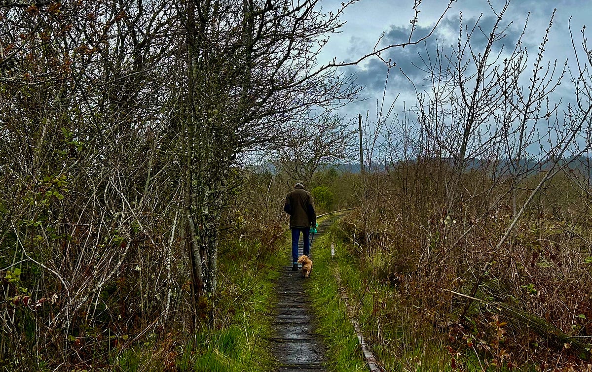Crow’s Feet writing prompt #30: Decisions, decisions | by Catherine ...