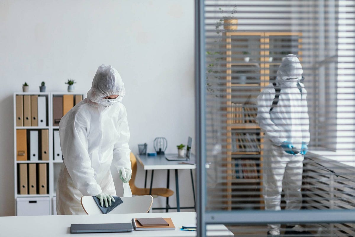 How to Kill Mold Spores and Stop Them Coming Back? | by Eya Minati ...