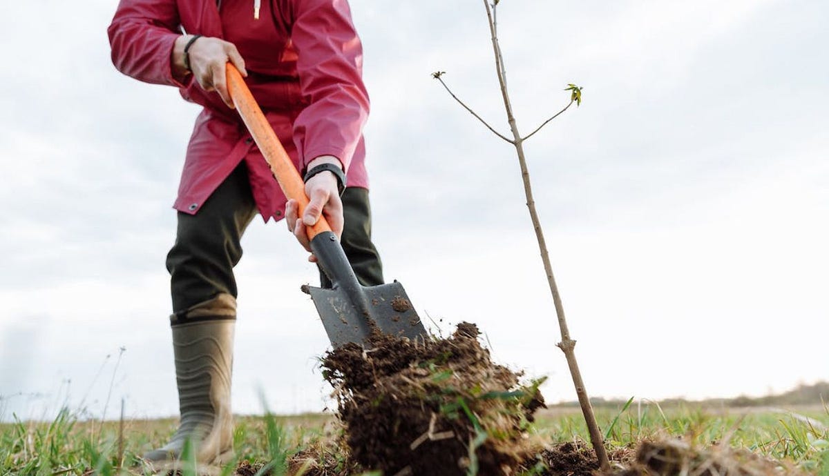 The Evolution of Shovels: A Dig into History, Types, and Modern ...