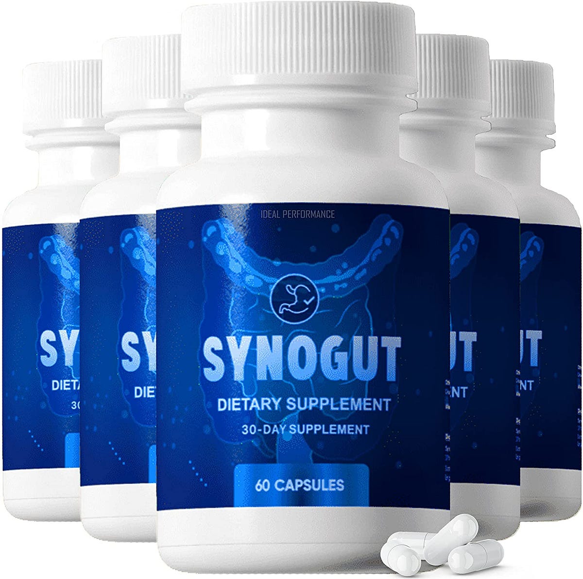 The SynoGut Reviews: Does It Work? | by kingsley Nwamaka | Medium
