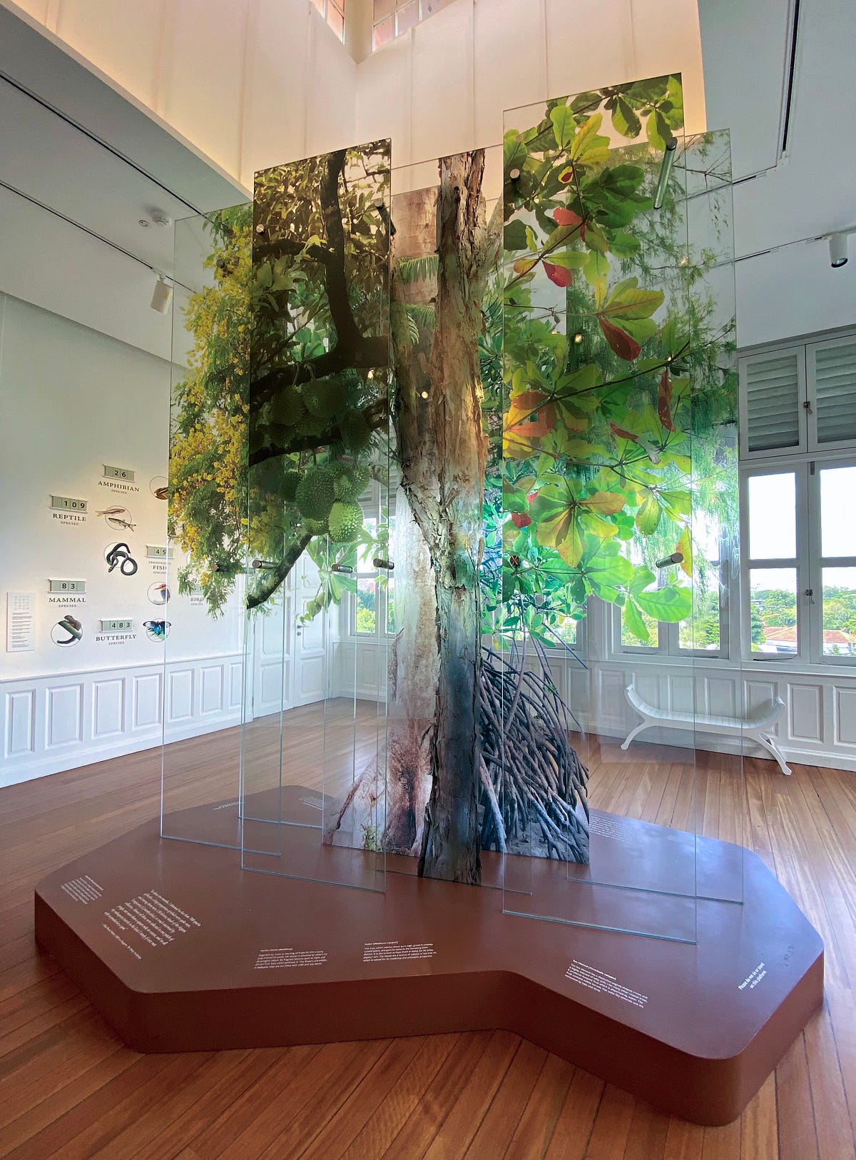 The Glass-Panel Tree. The Forest Discovery Centre at Gallop… | by ...