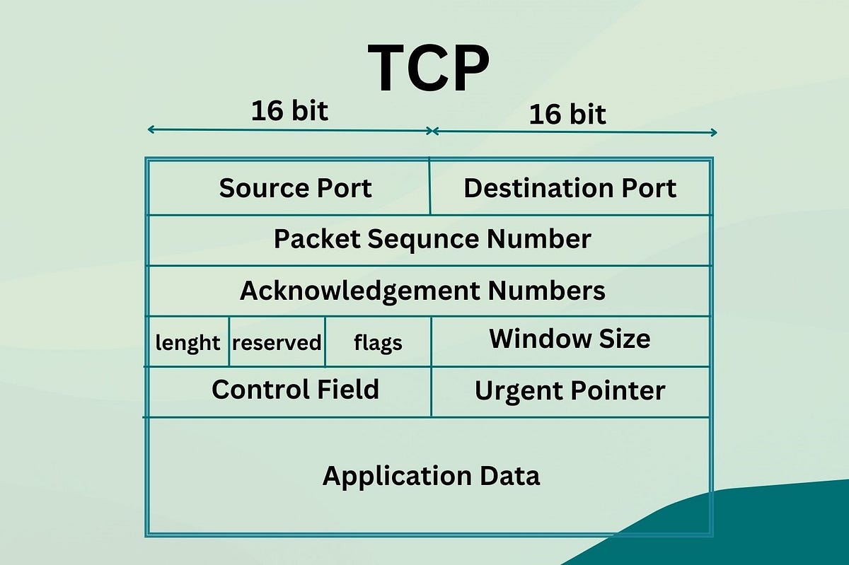 TCP | TRANSPORT LAYER | Acknowledgements (ACKs) | TCP/IP Katmanları ...
