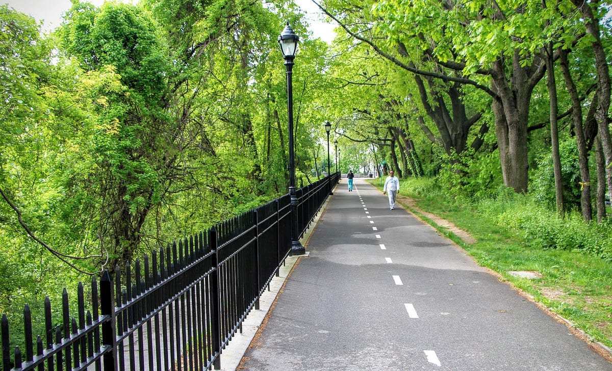 Parks In Queens: A Nature Infused Bike Tour From Highland To Forest ...