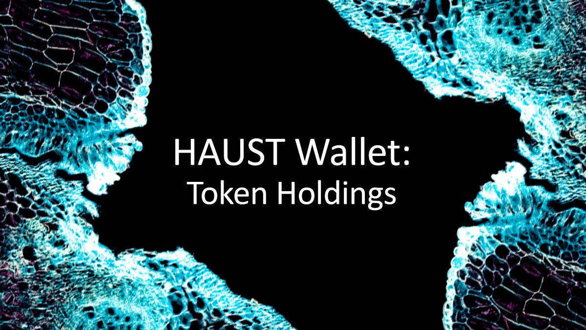 Simplify DeFi: a quick guide how to check your token holdings | by ...