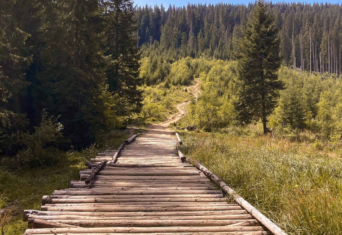 Clean Architecture in Angular Applications | by Denis Hasanenko | The ...