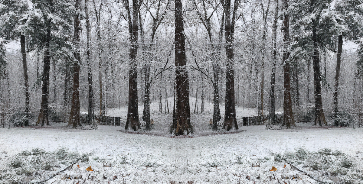 Winter bliss with the first snowfall | by LucianoSphere | Age of ...